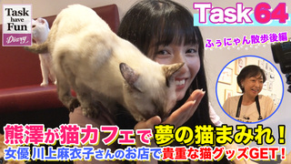 Task have Fun Diary ｜テレ朝動画